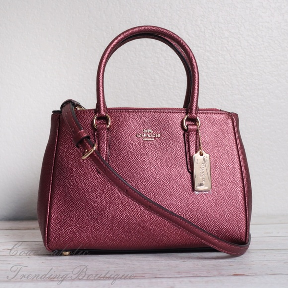 Coach | Bags | Nwt Coach Metallic Leather Mini Surrey Carryall | Poshmark